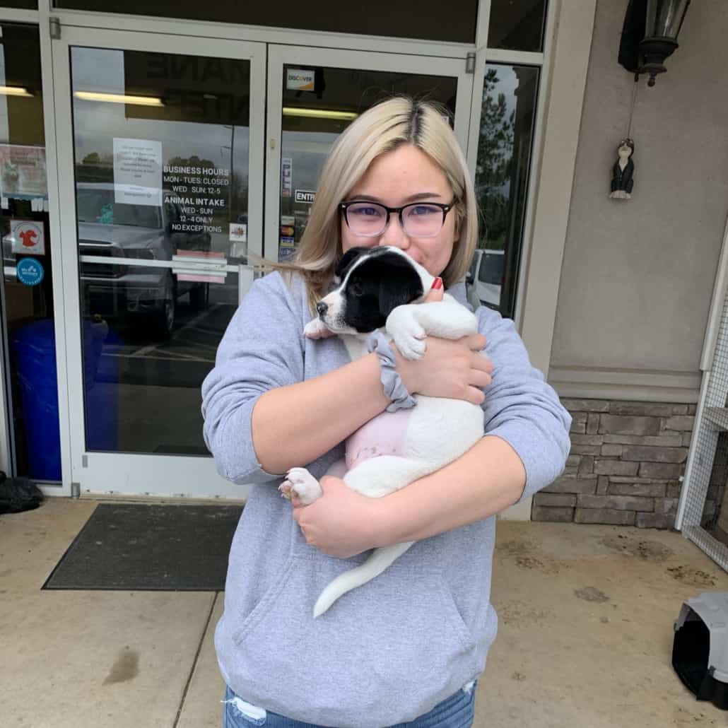 About Us – Georgia Pet Watchers